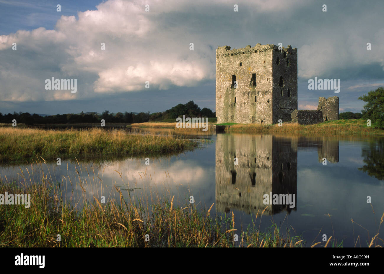 Scottish Castle The atmospheric ruins of Threave Castle reflected in ...