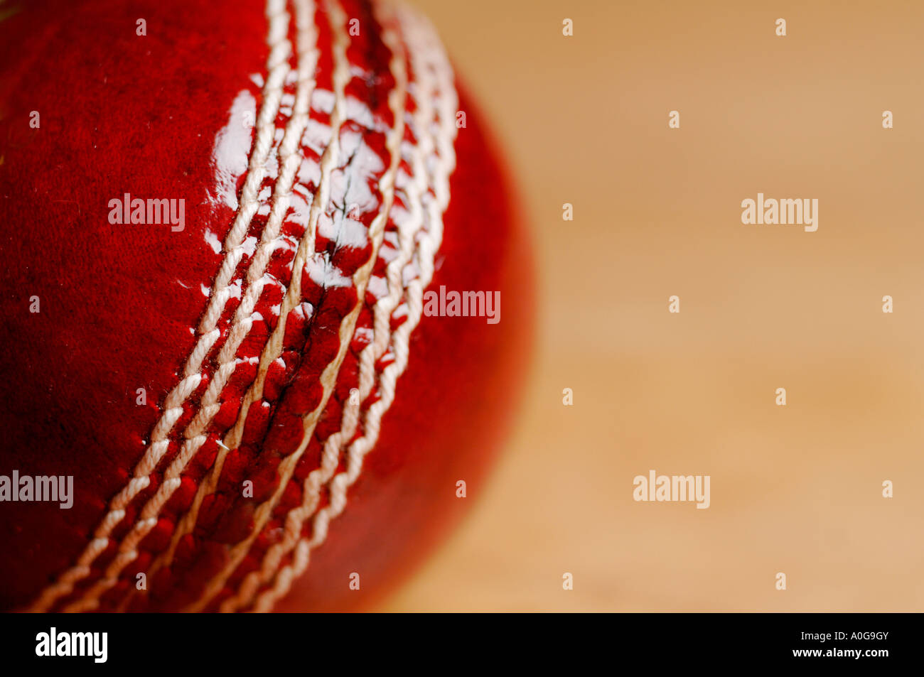 Close up of cricket ball Stock Photo - Alamy