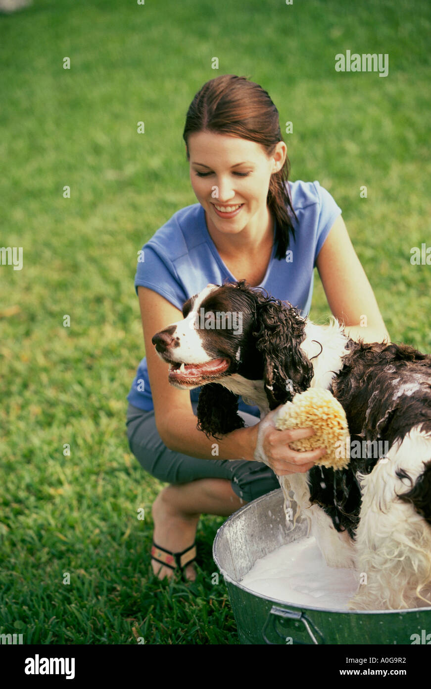 Young woman bathing her dog in a tub Stock Photo - Alamy