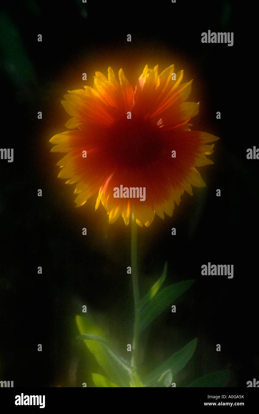 2427 hi-res stock photography and images - Alamy