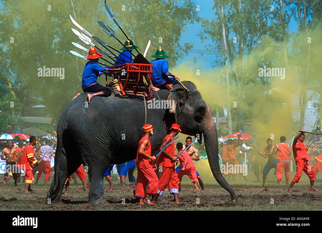 Elephant in historic battle re-enactment Surin Elephant Round-Up ...