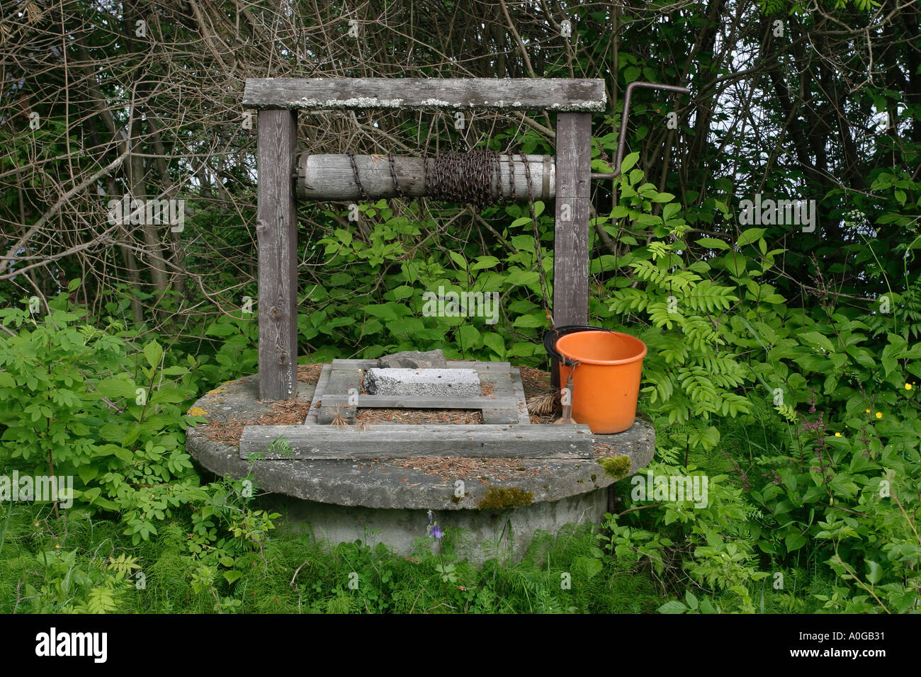 watering well with plastic bucket Stock Photo - Alamy