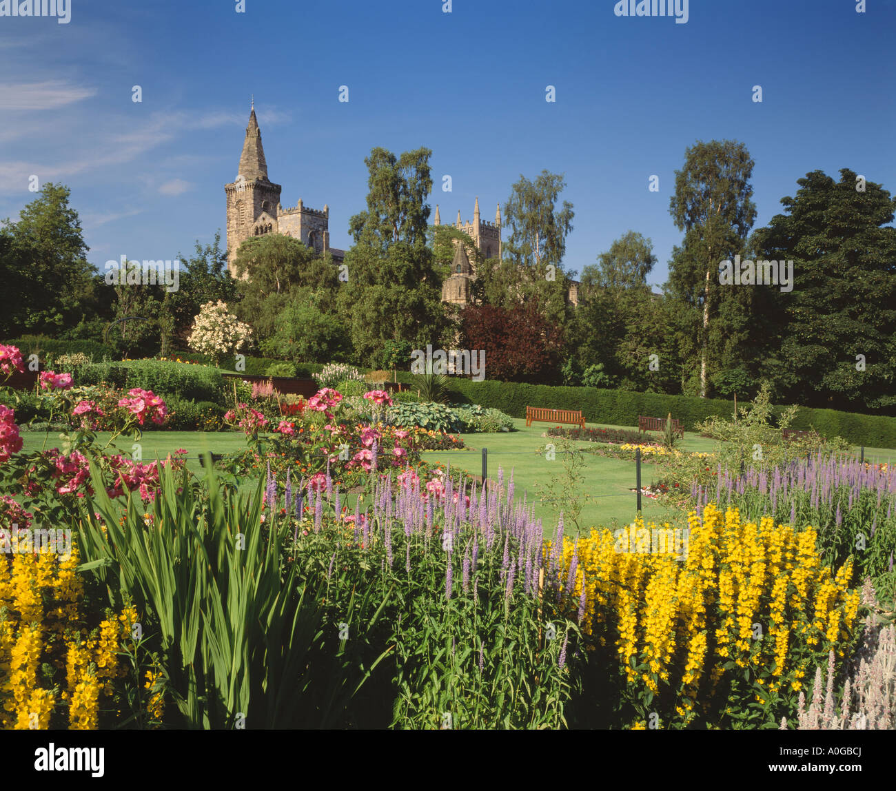 Pittencrieff Park Dunfermline Fife Scotland Uk View To Dunfermline