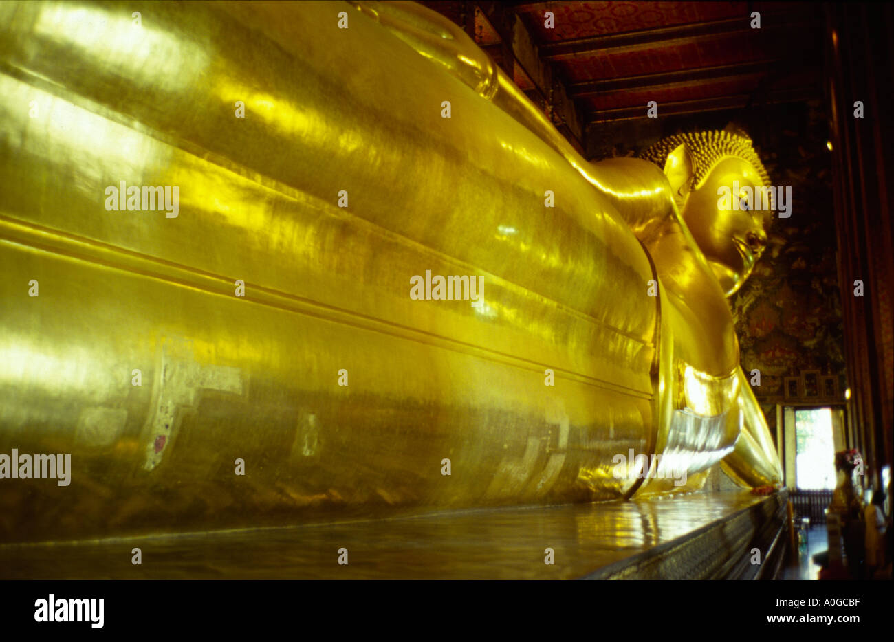 Enormous proportions hi-res stock photography and images - Alamy