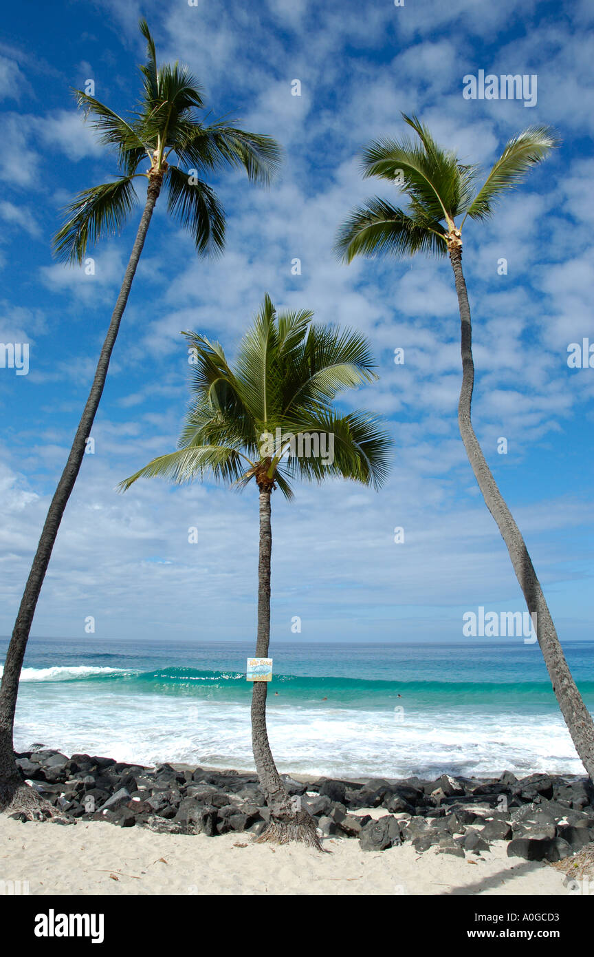 Swimmers at White Sands Beach Park Kailua Kona Hawaii Stock Photo - Alamy