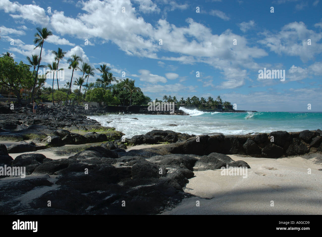 Early morning swimmers at White Sands Beach Park Kailua Kona Hawaii ...