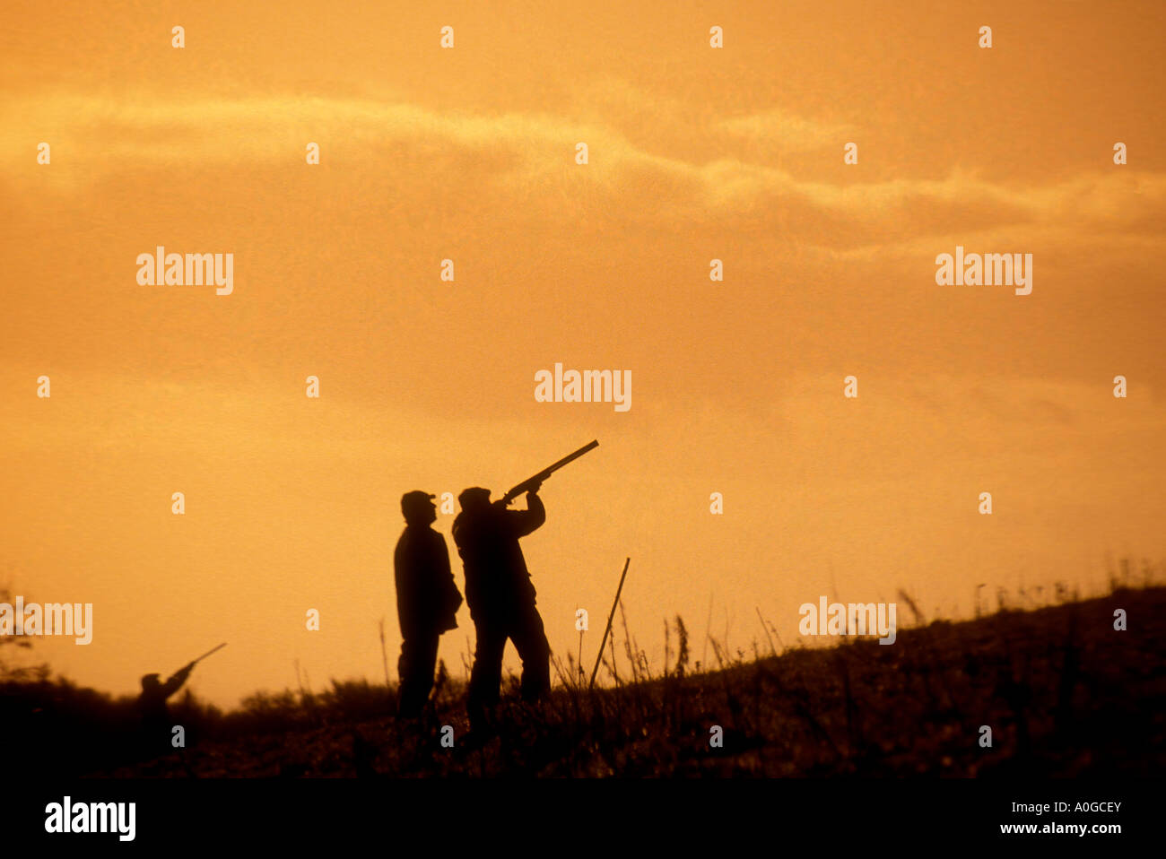 Shooting birds hi-res stock photography and images - Alamy