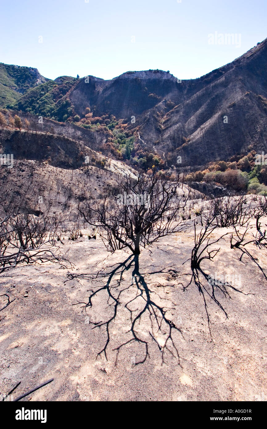 Angeles national forest fire hi-res stock photography and images - Alamy