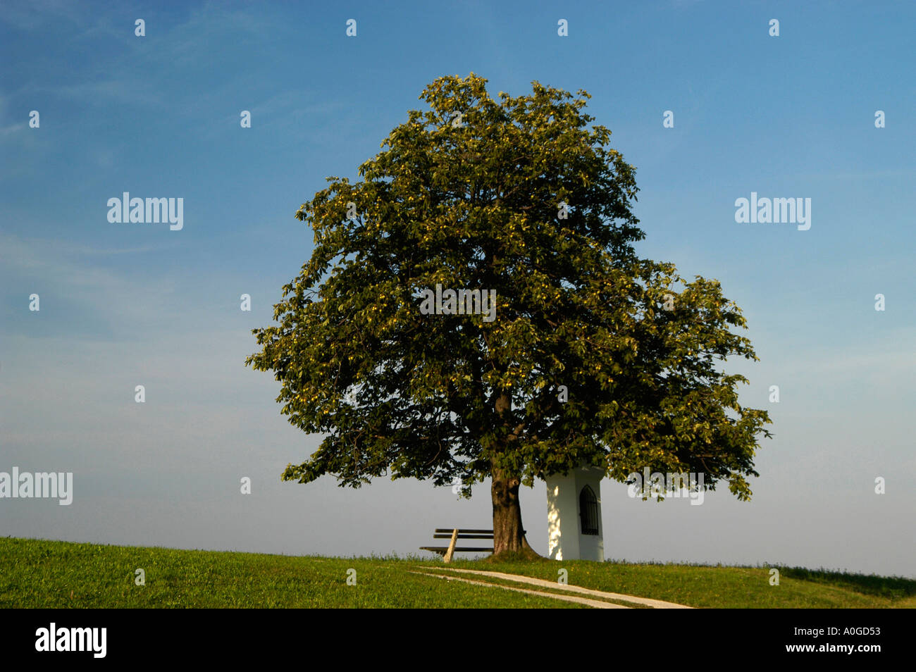 landscape, tree, banch, lane Stock Photo - Alamy