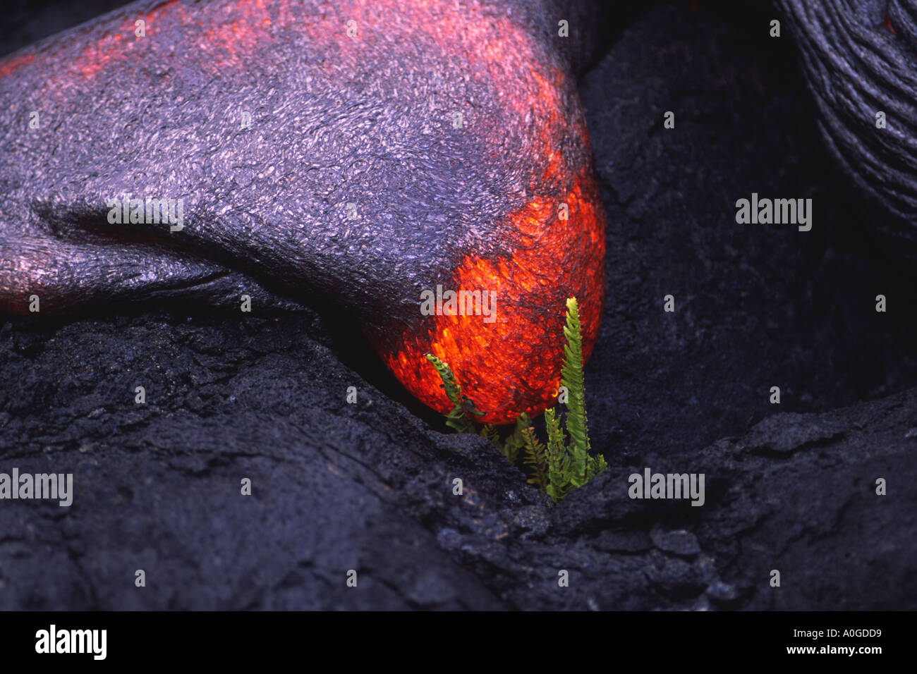Lava lobe hi-res stock photography and images - Alamy