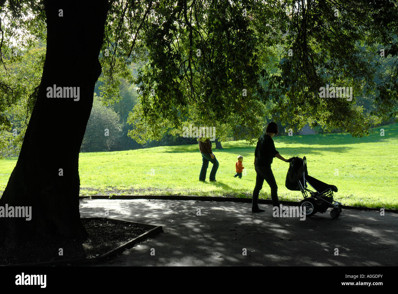 Autumn colours in Waterlow Park Highgate London Stock Photo - Alamy