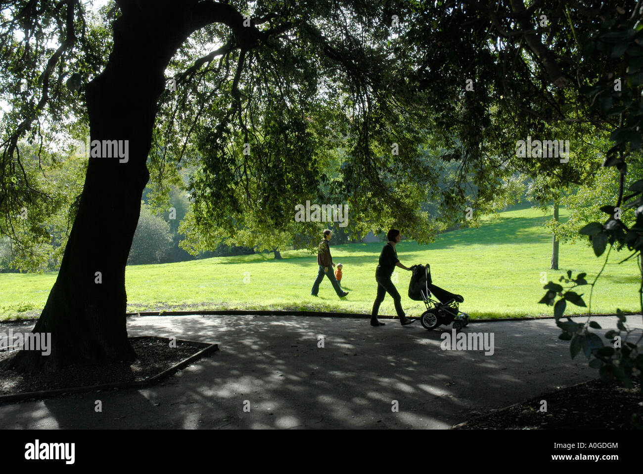 Autumn colours in Waterlow Park Highgate London Stock Photo - Alamy
