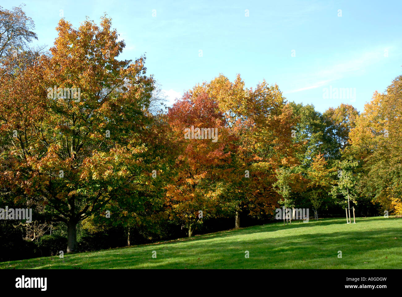 Autumn colours in Waterlow Park Highgate London Stock Photo - Alamy