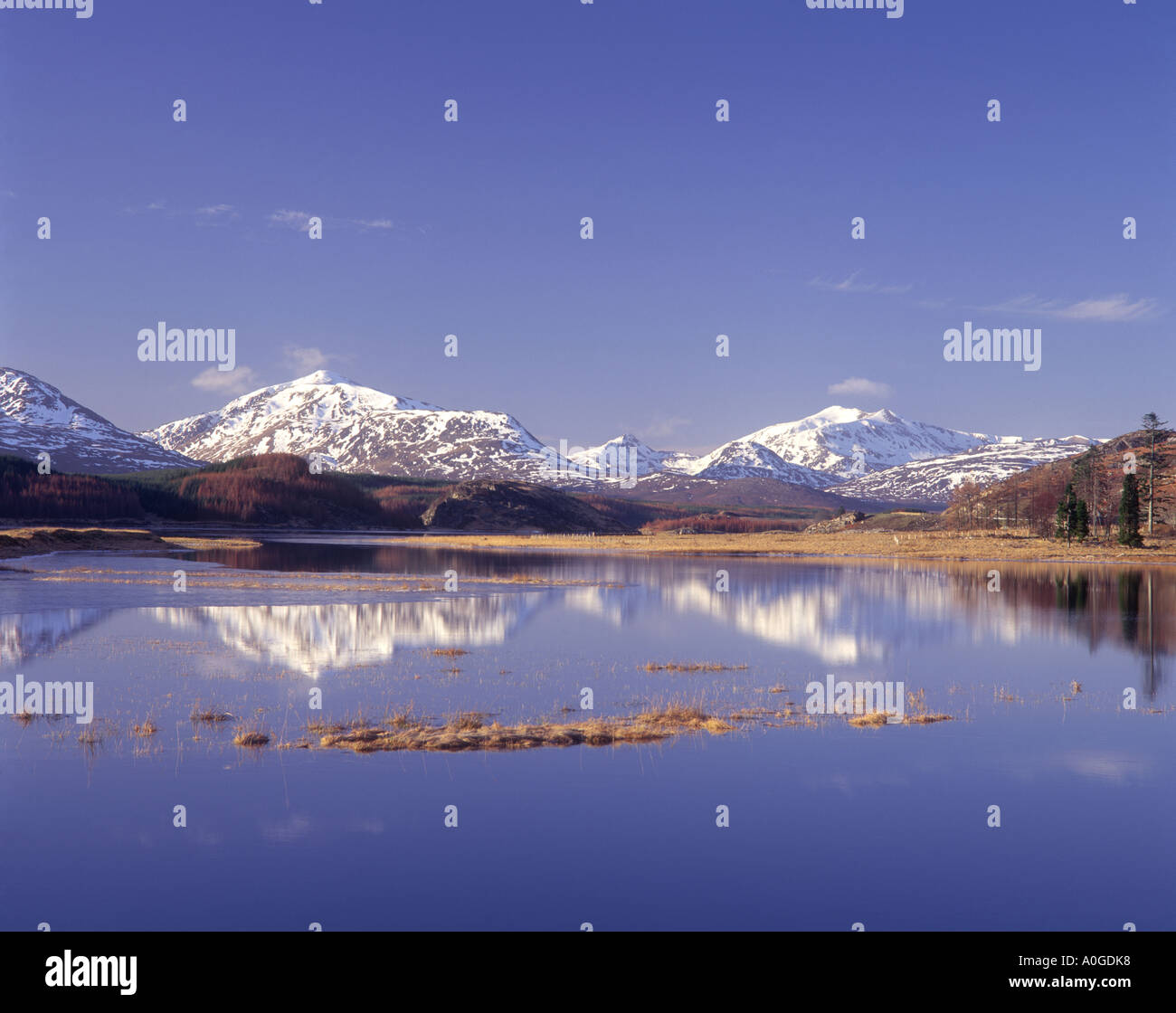 Moy highland hi-res stock photography and images - Alamy