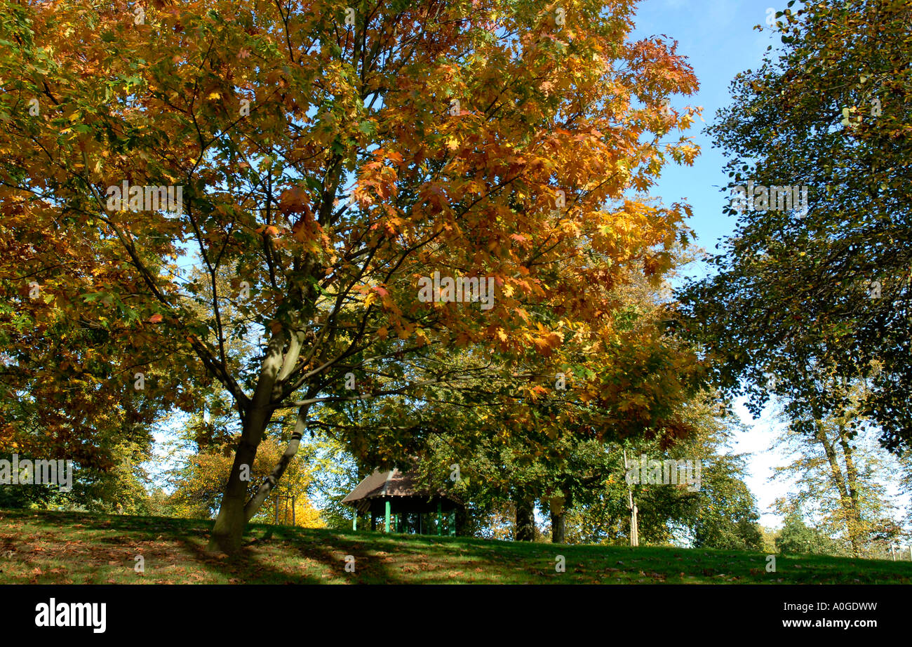 Autumn colours in Waterlow Park Highgate London Stock Photo - Alamy