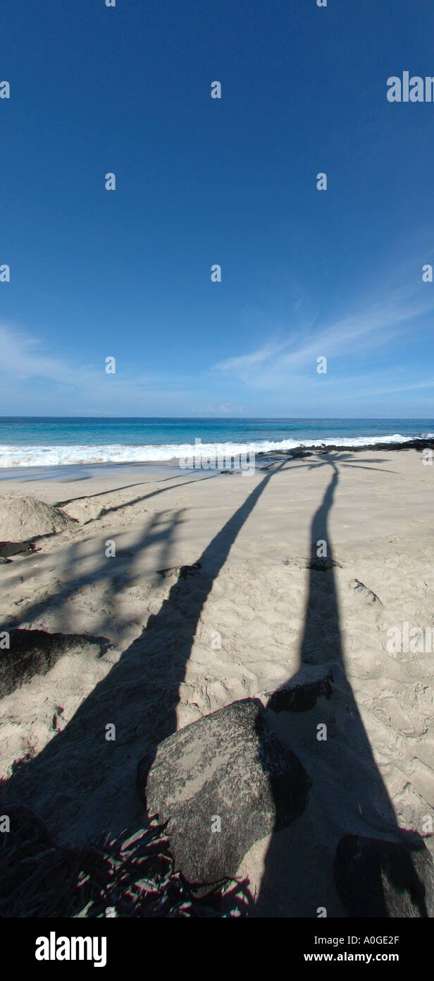 Twin palm tree shadows on White sands beach Kailua Kona Hawaii Stock ...