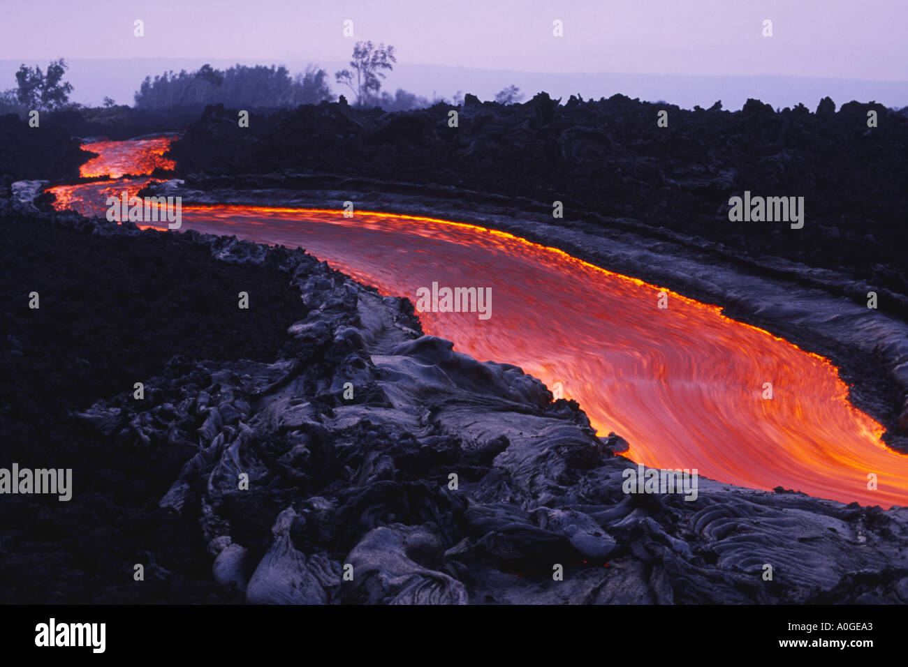 A large river of lava flows towards the last section of forest in the ...