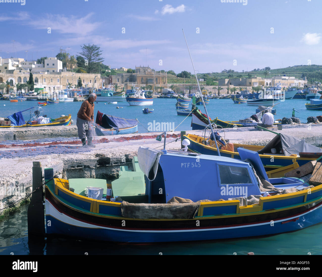 Maltesean hi-res stock photography and images - Alamy