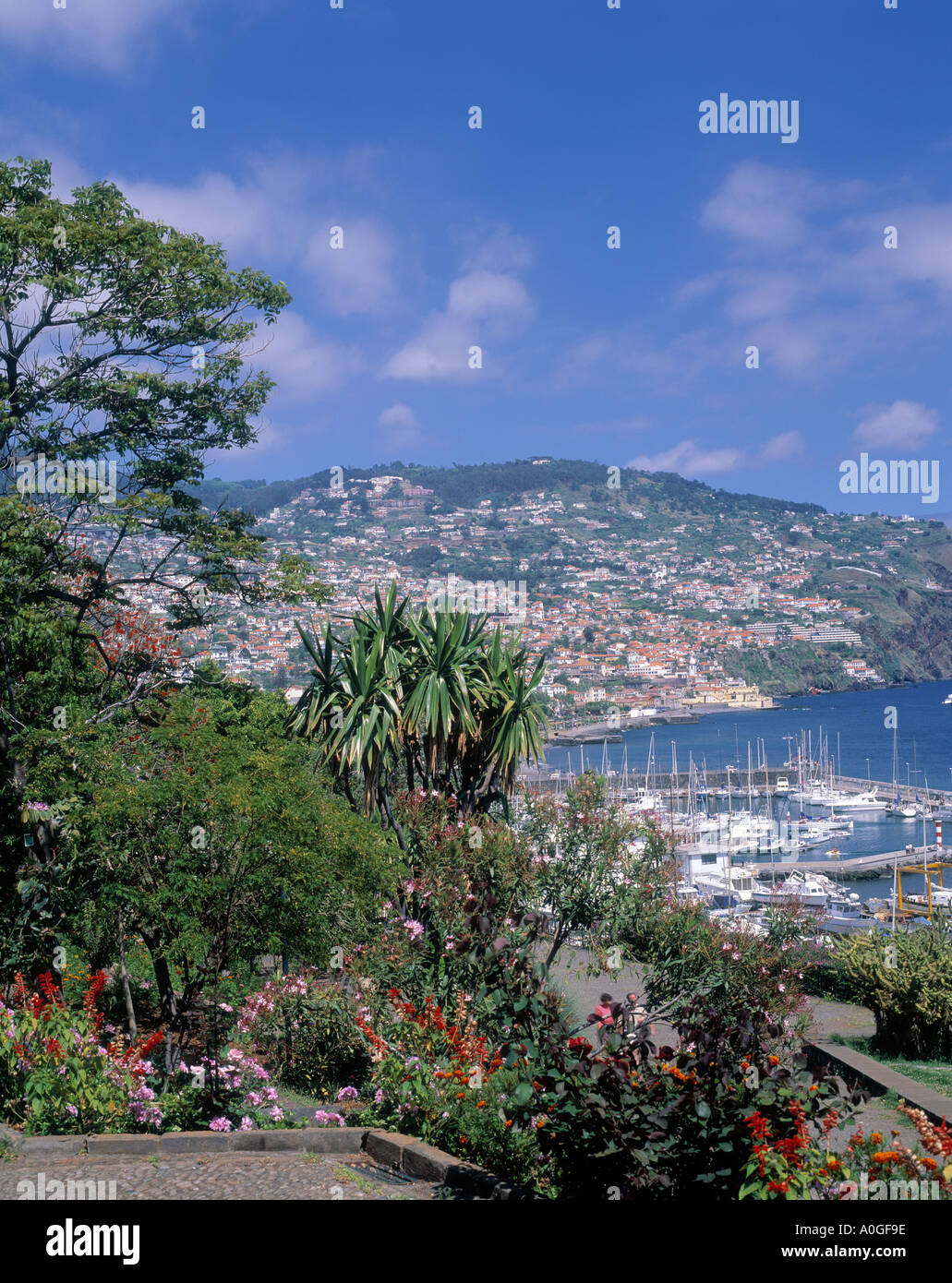 Miradouro gardens hi-res stock photography and images - Alamy