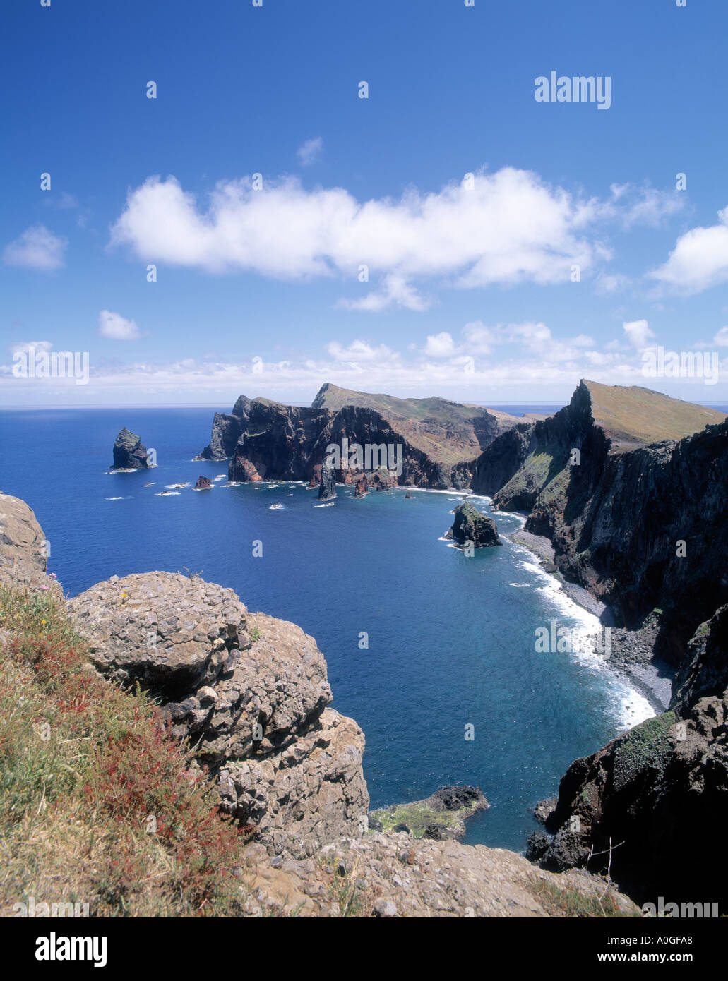 Maderia hi-res stock photography and images - Alamy