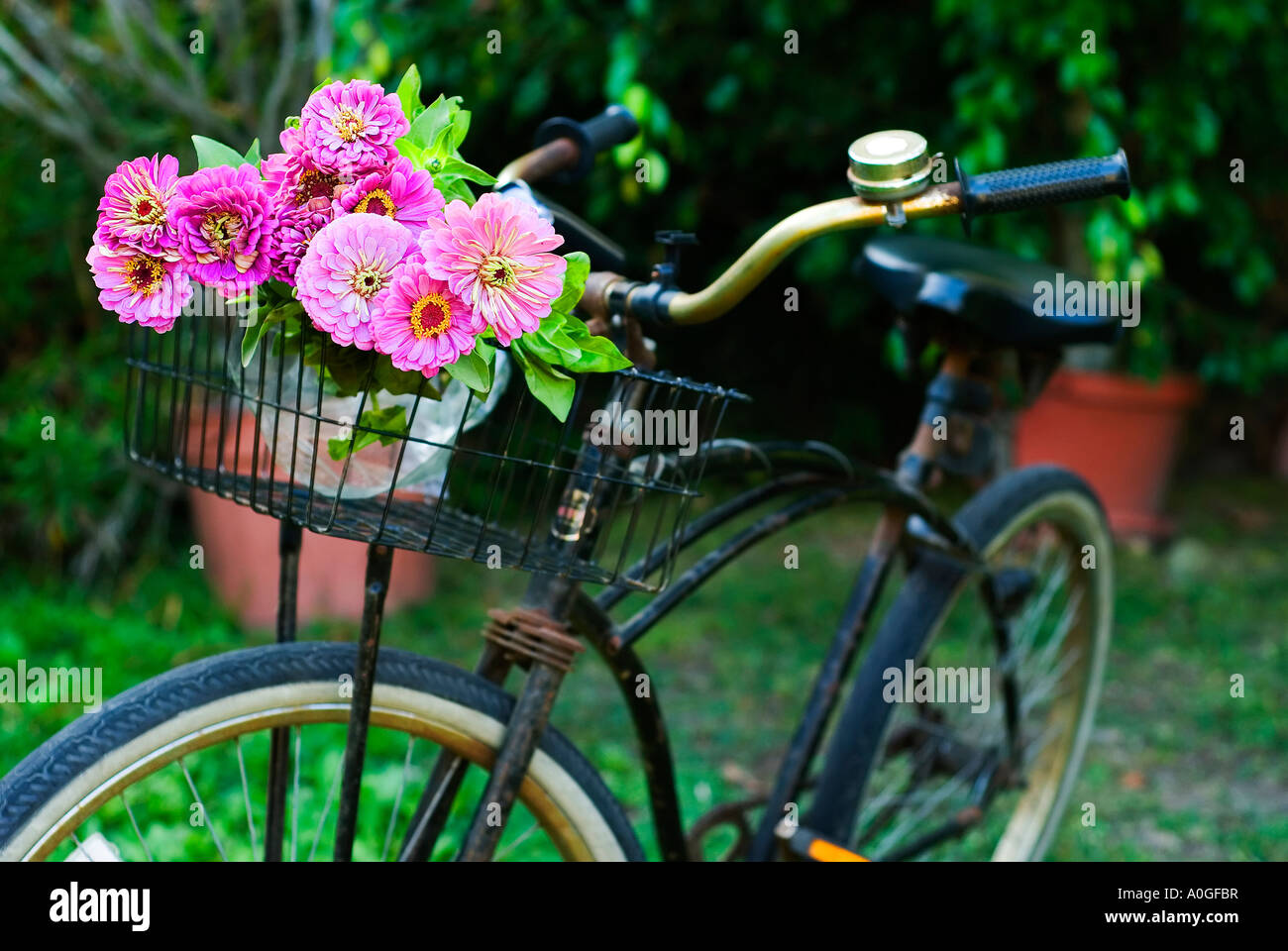 bicycle with flowers and basket Stock Photo - Alamy