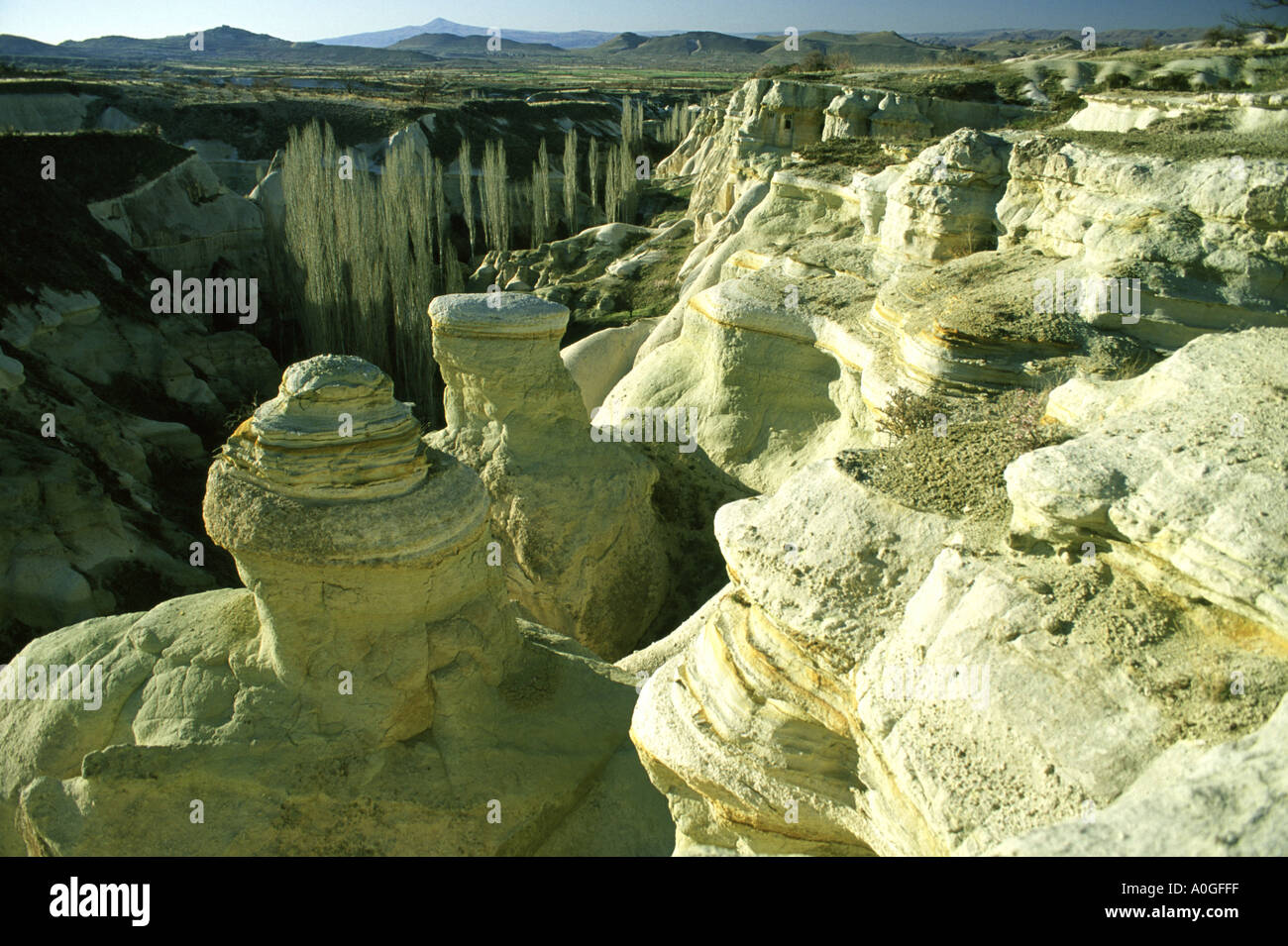Valley of volcanic tufa formations Uchisar Cappadocia Turkey Stock ...