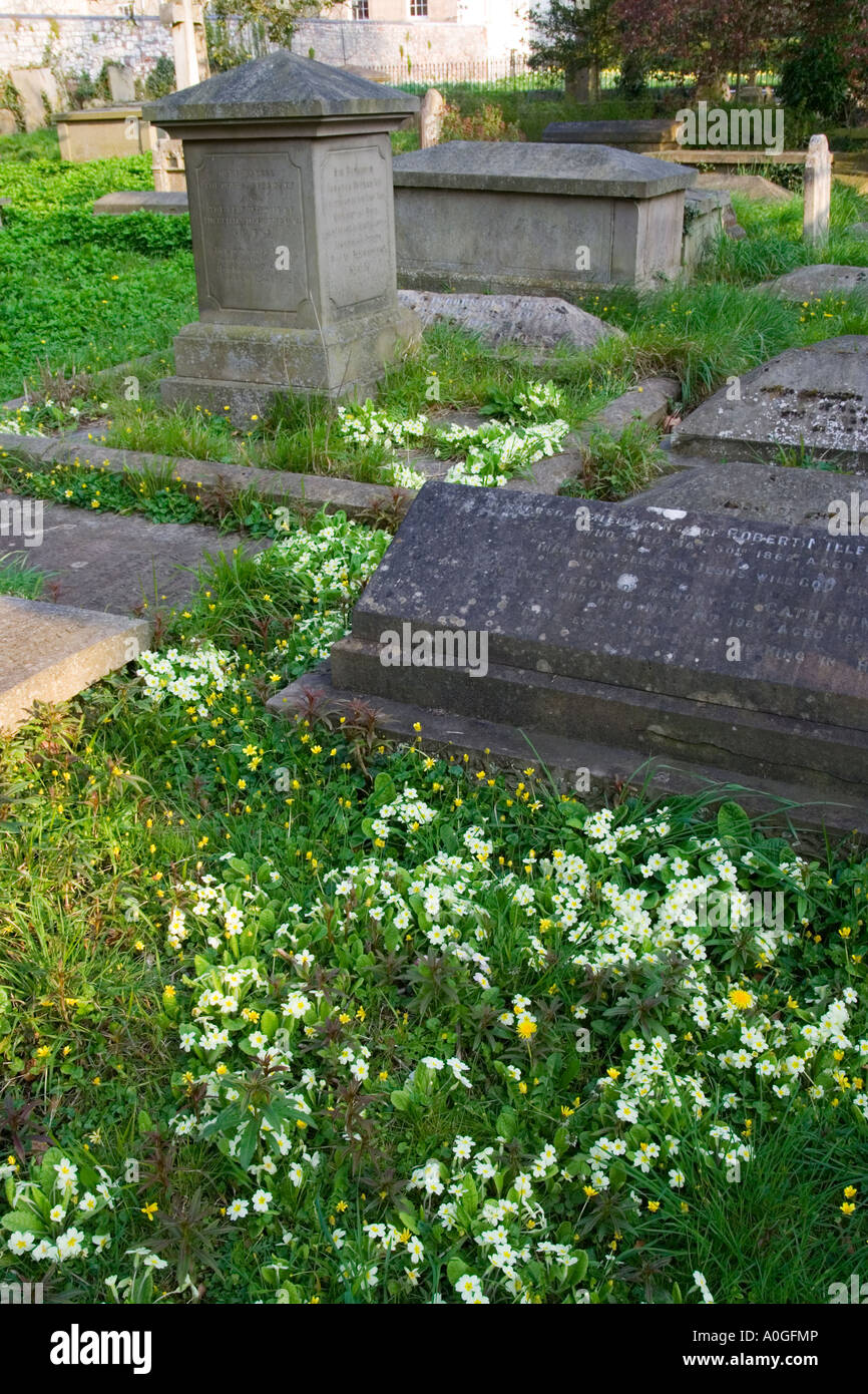 Time spring hi-res stock photography and images - Alamy