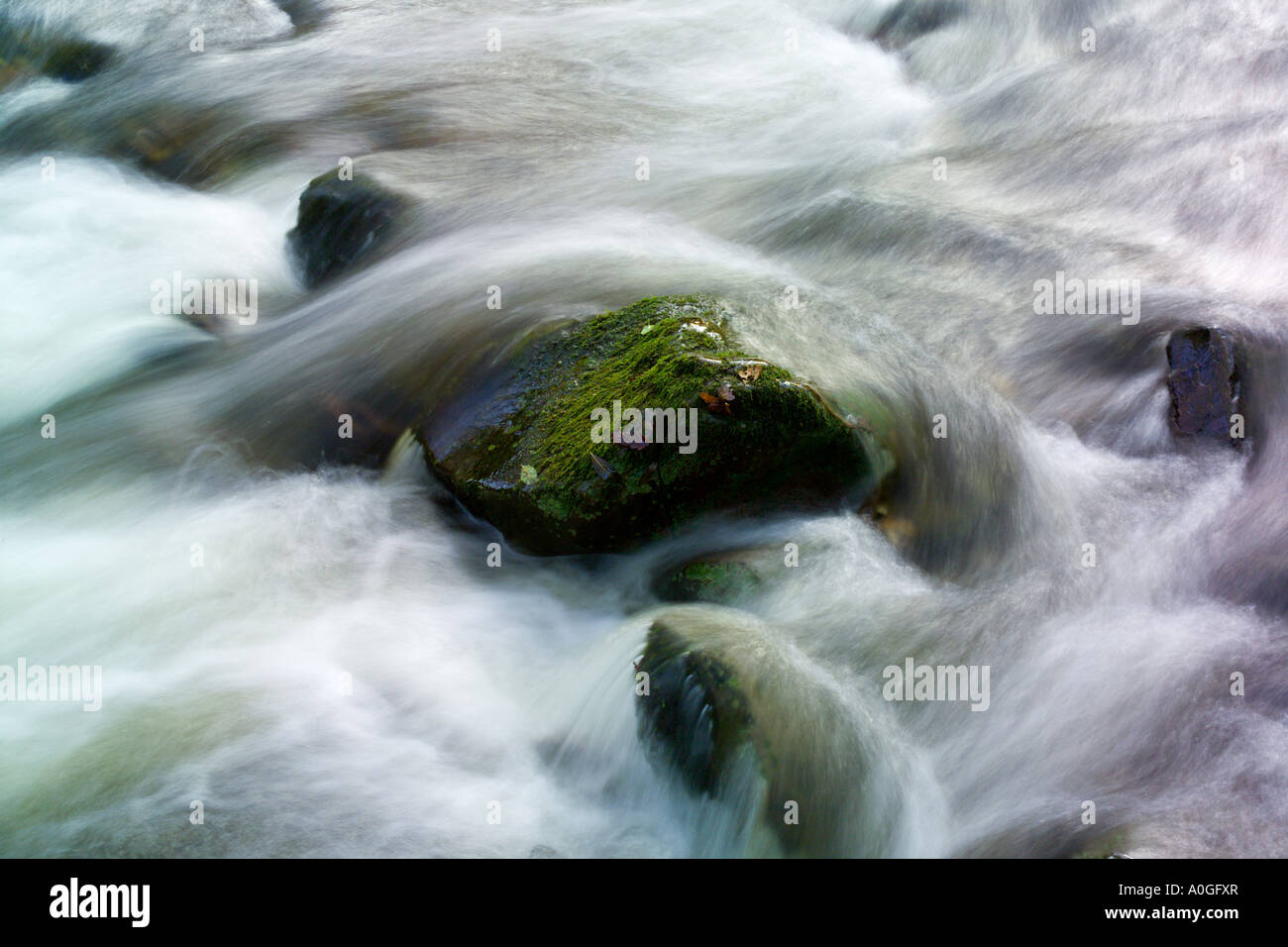 fast running stream water Stock Photo - Alamy
