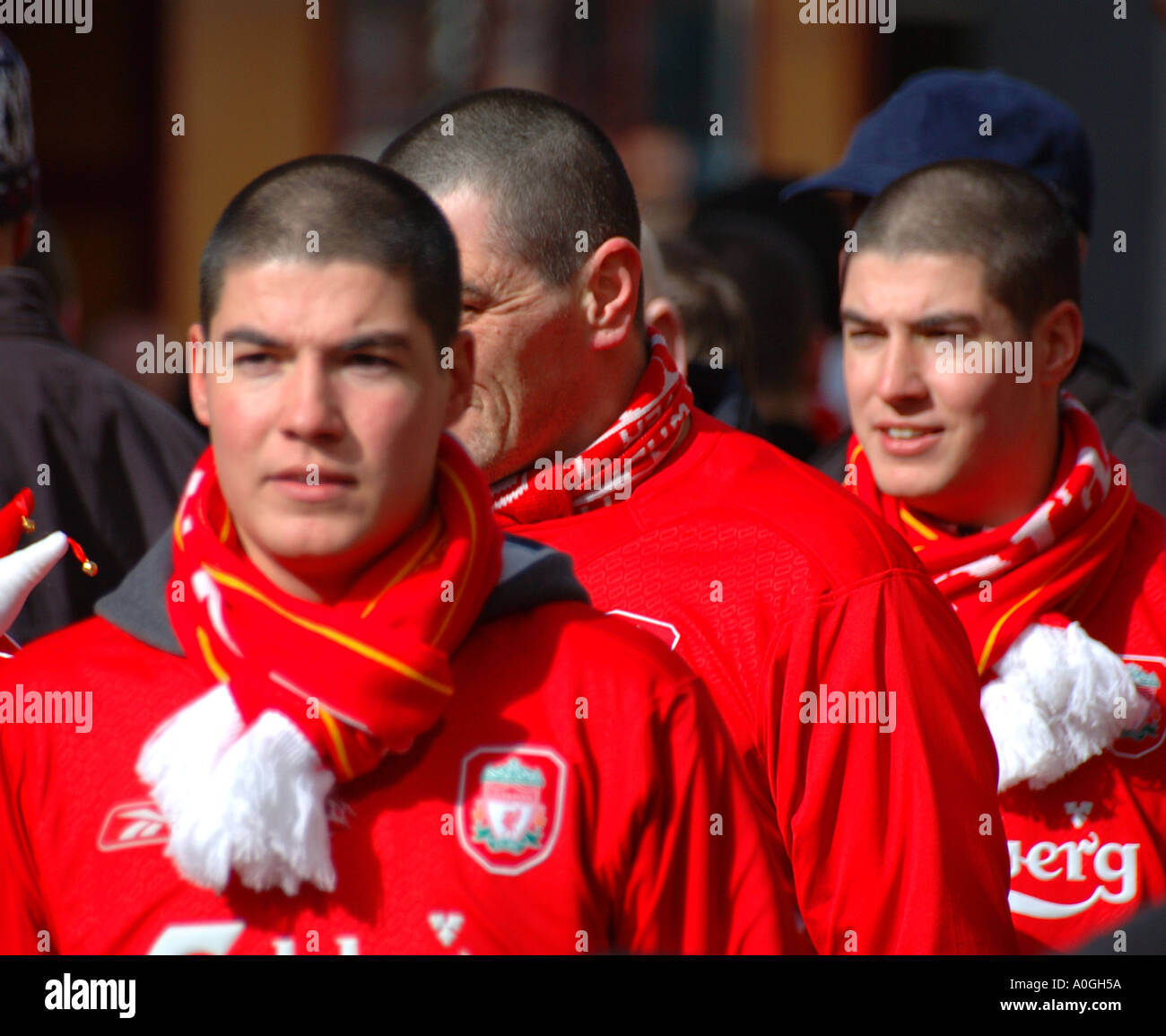 Liverpool football supporter Stock Photo - Alamy