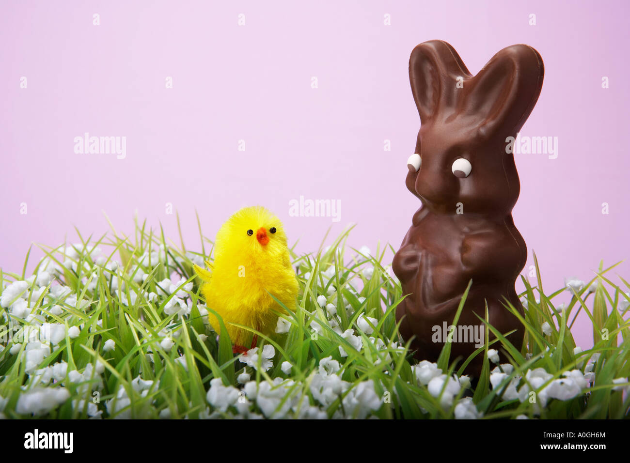 Easter bunny and chick Stock Photo - Alamy