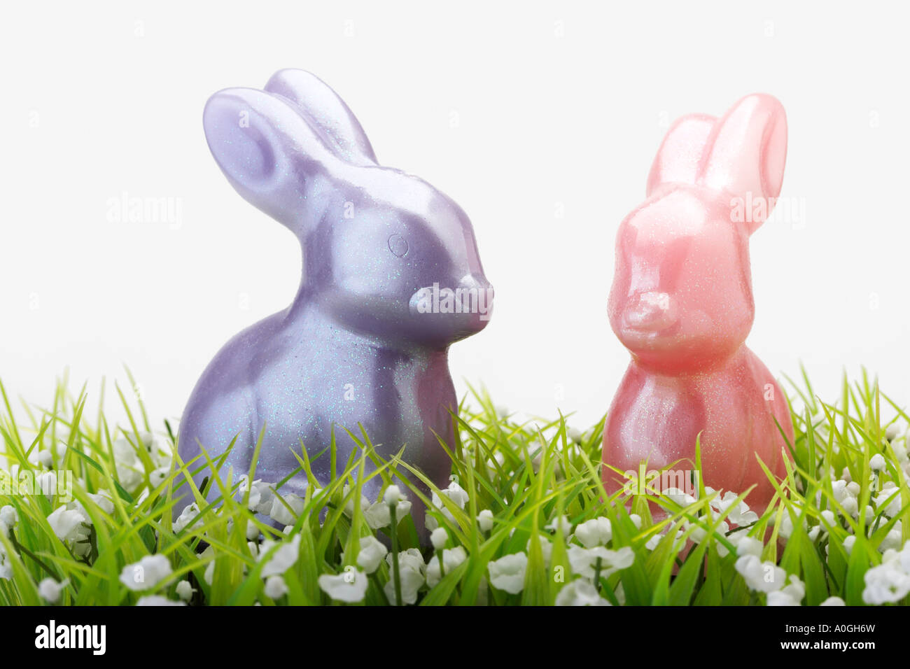 Two white bunny rabbits hi-res stock photography and images - Alamy