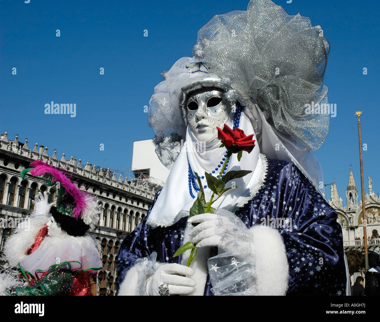 Merlin rose hi-res stock photography and images - Alamy