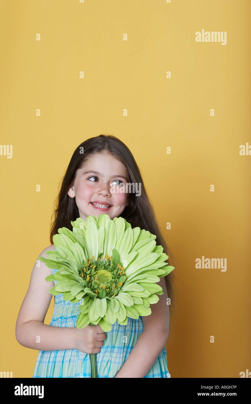 Very large flower size hi-res stock photography and images - Alamy