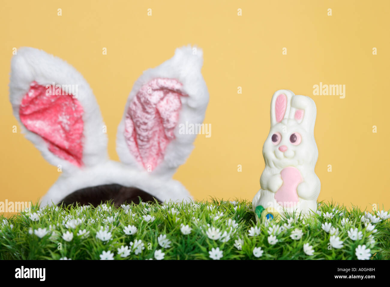 Plant orange anatomy hi-res stock photography and images - Alamy