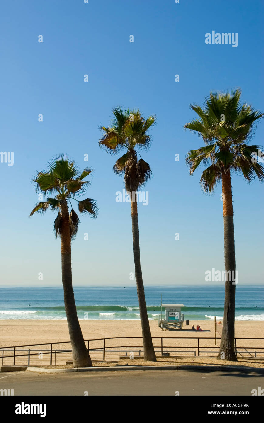 Three palms at sunrise hi-res stock photography and images - Alamy