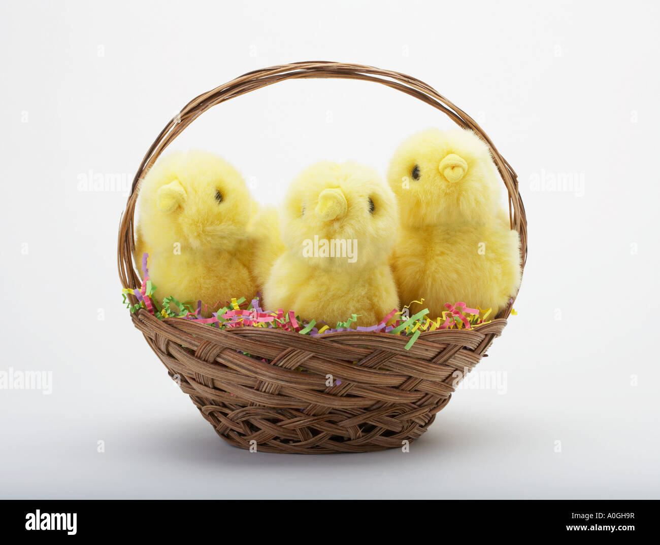 Chicks in a basket hi-res stock photography and images - Alamy