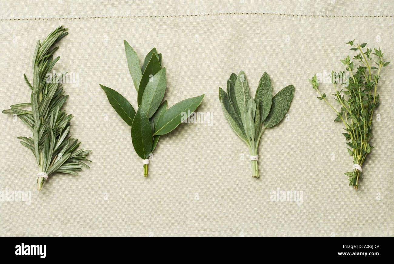 Bundles of herbs hi-res stock photography and images - Alamy