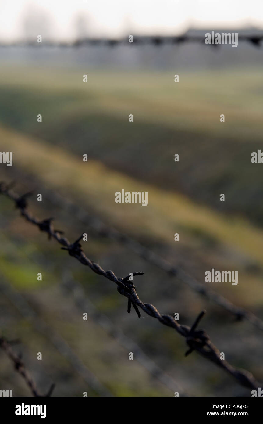 Barbed wire perimeter fence at Auschwitz - Birkenau concentration camp ...