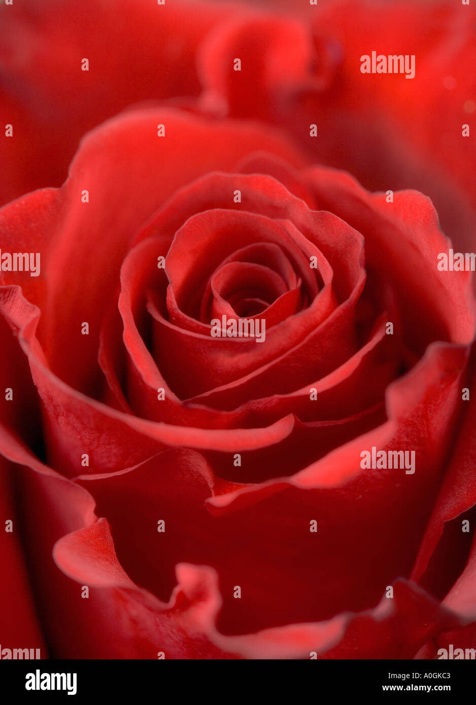 Curved opening above hi-res stock photography and images - Alamy