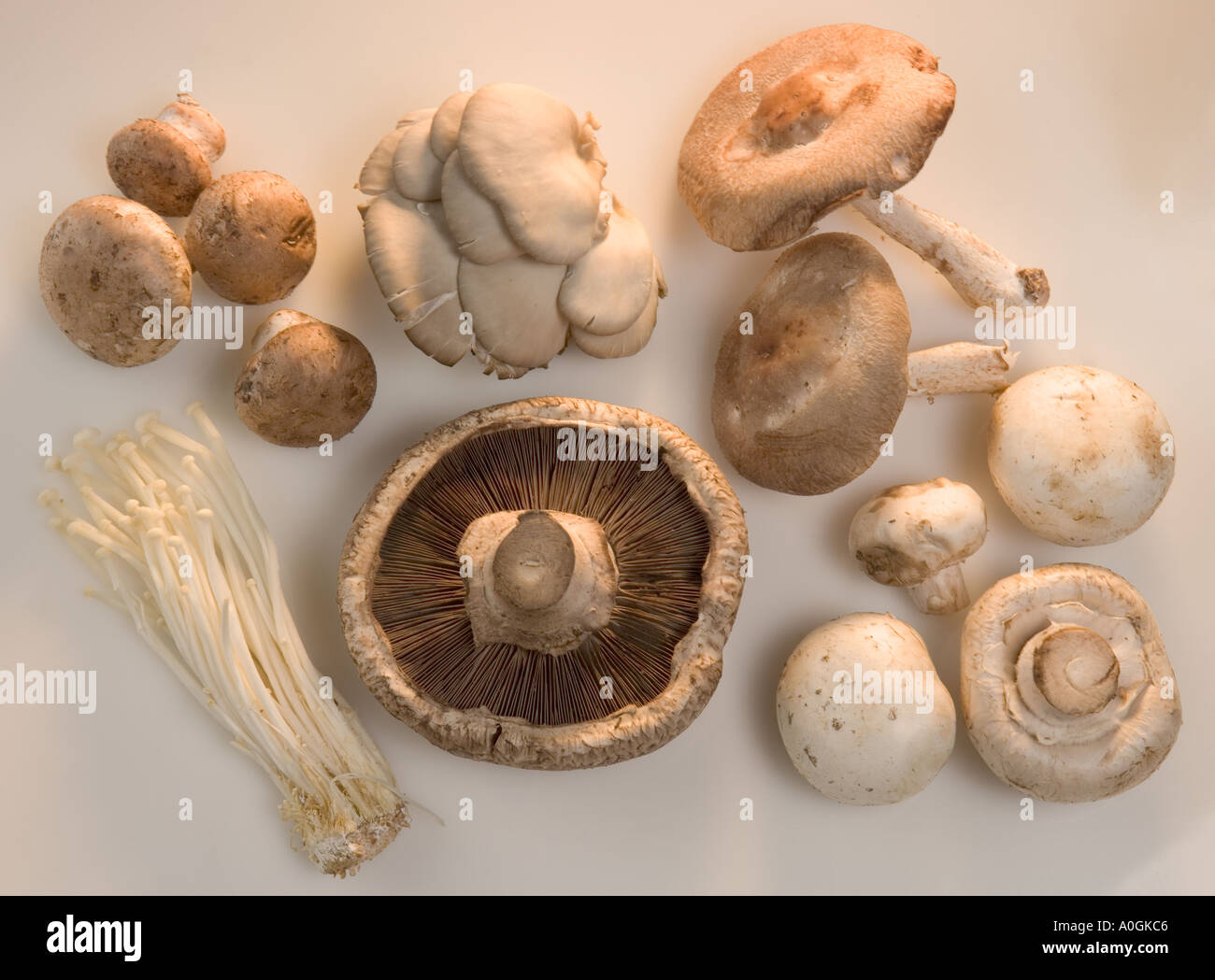 Many mushroom varieties Stock Photo - Alamy