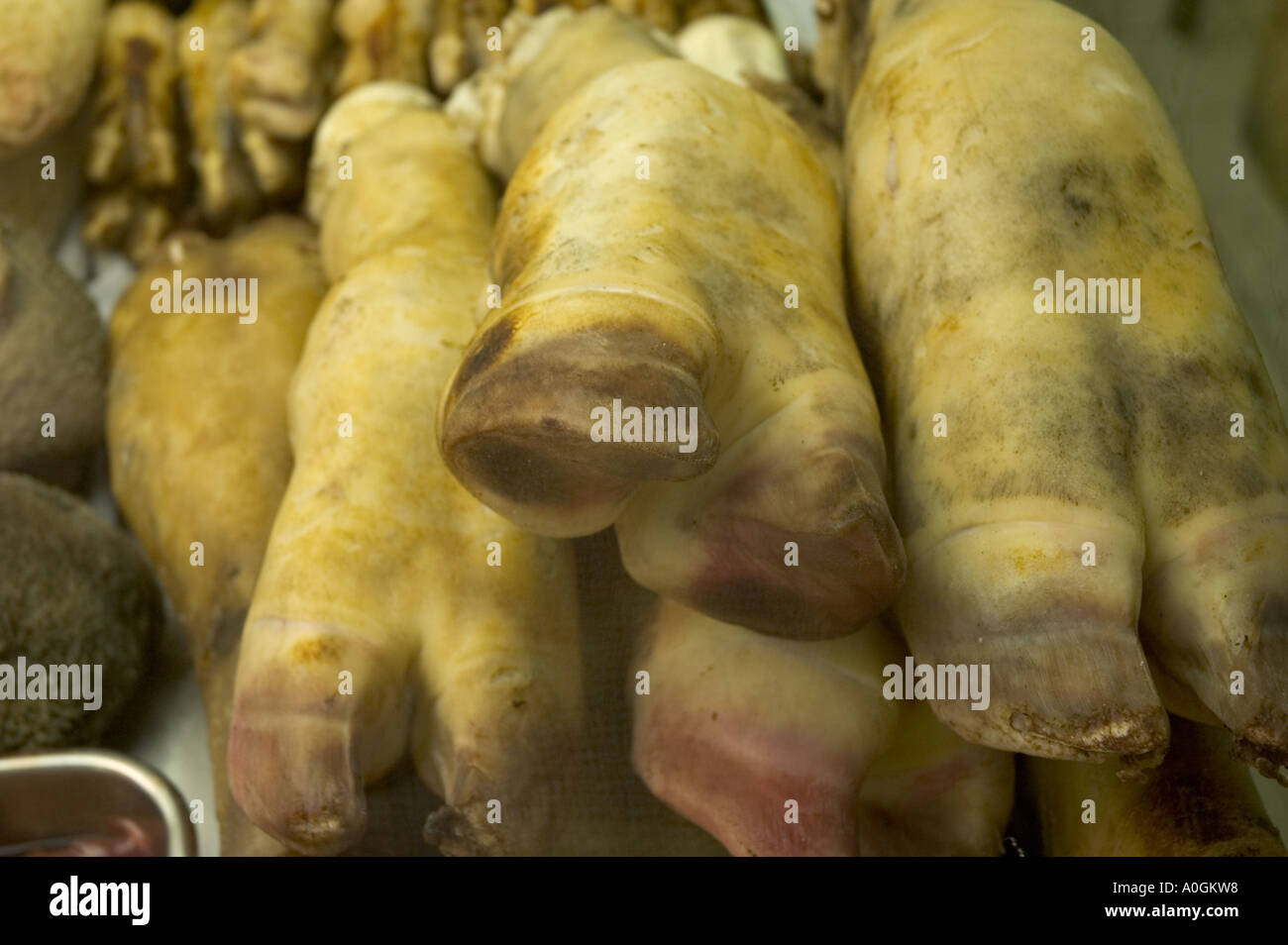 Cow toes hi-res stock photography and images - Alamy