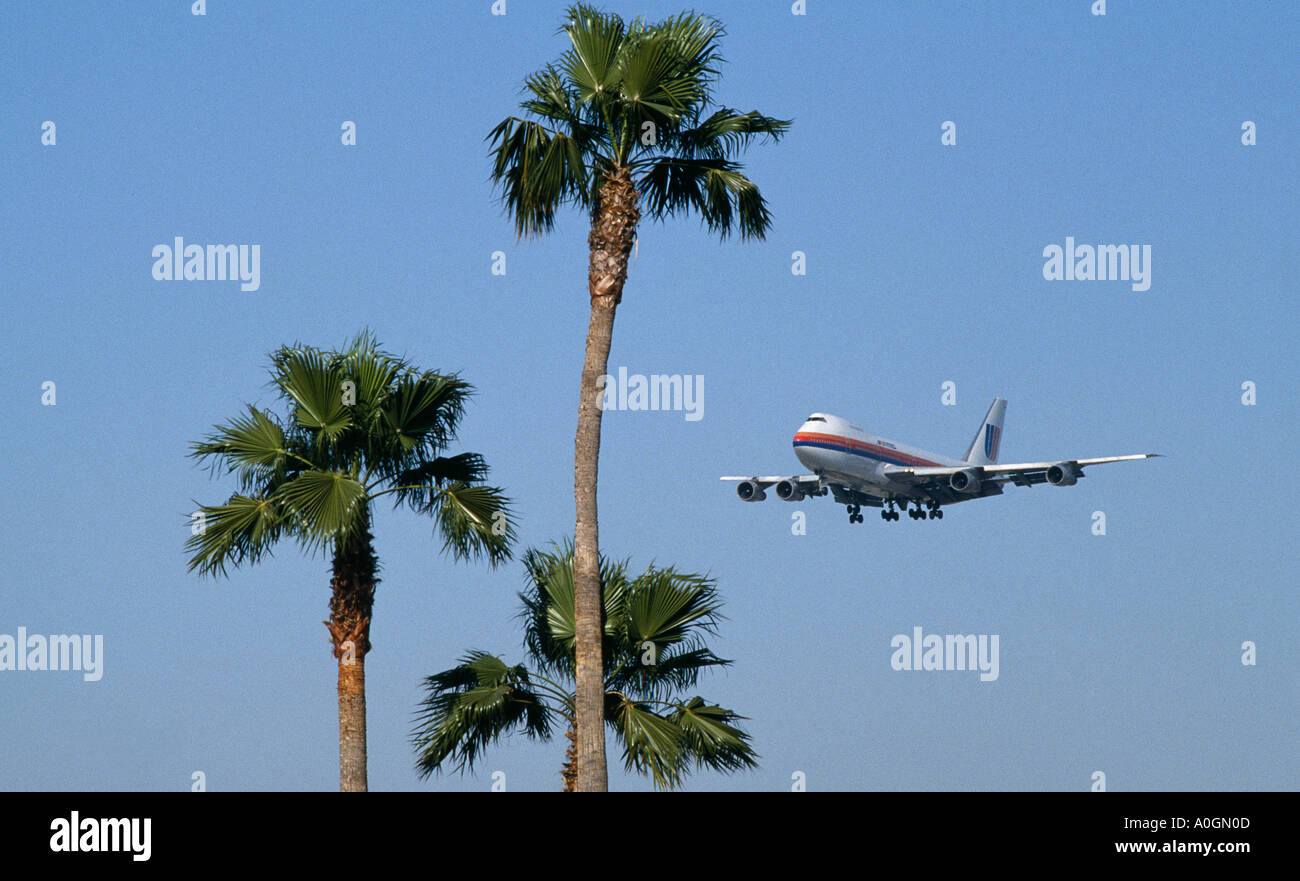 JUMBO JET ON LANDING APPROACH WITH PALM TREES USA Stock Photo - Alamy