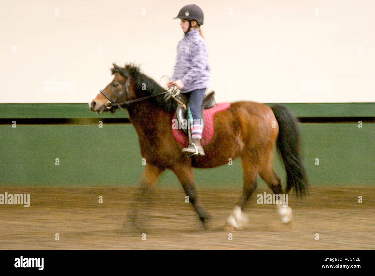 Pony riding lesson hi-res stock photography and images - Alamy