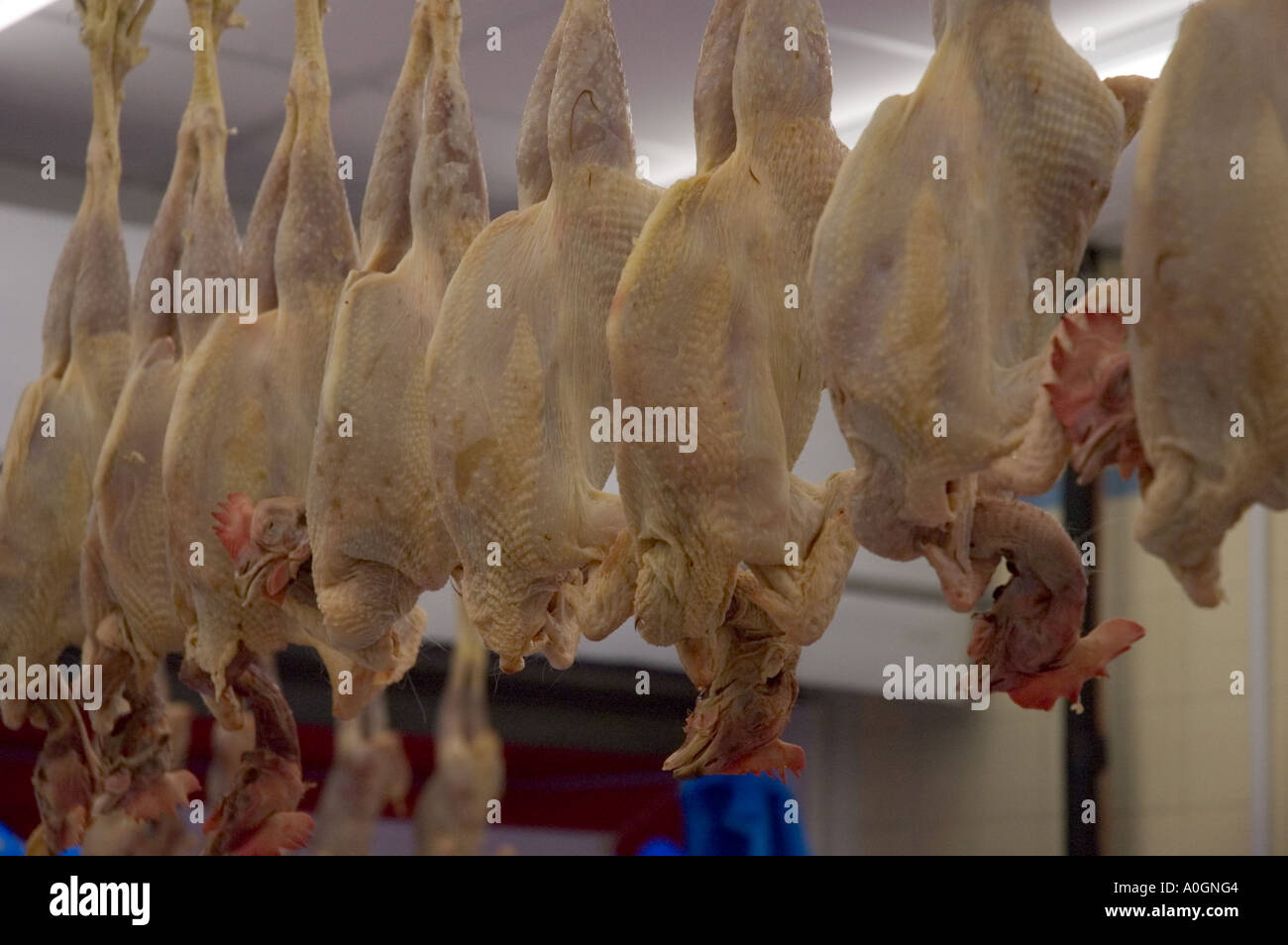 Kosher butcher shop hi-res stock photography and images - Alamy