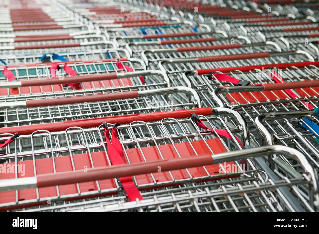 Multiple shopping carts hi-res stock photography and images - Alamy