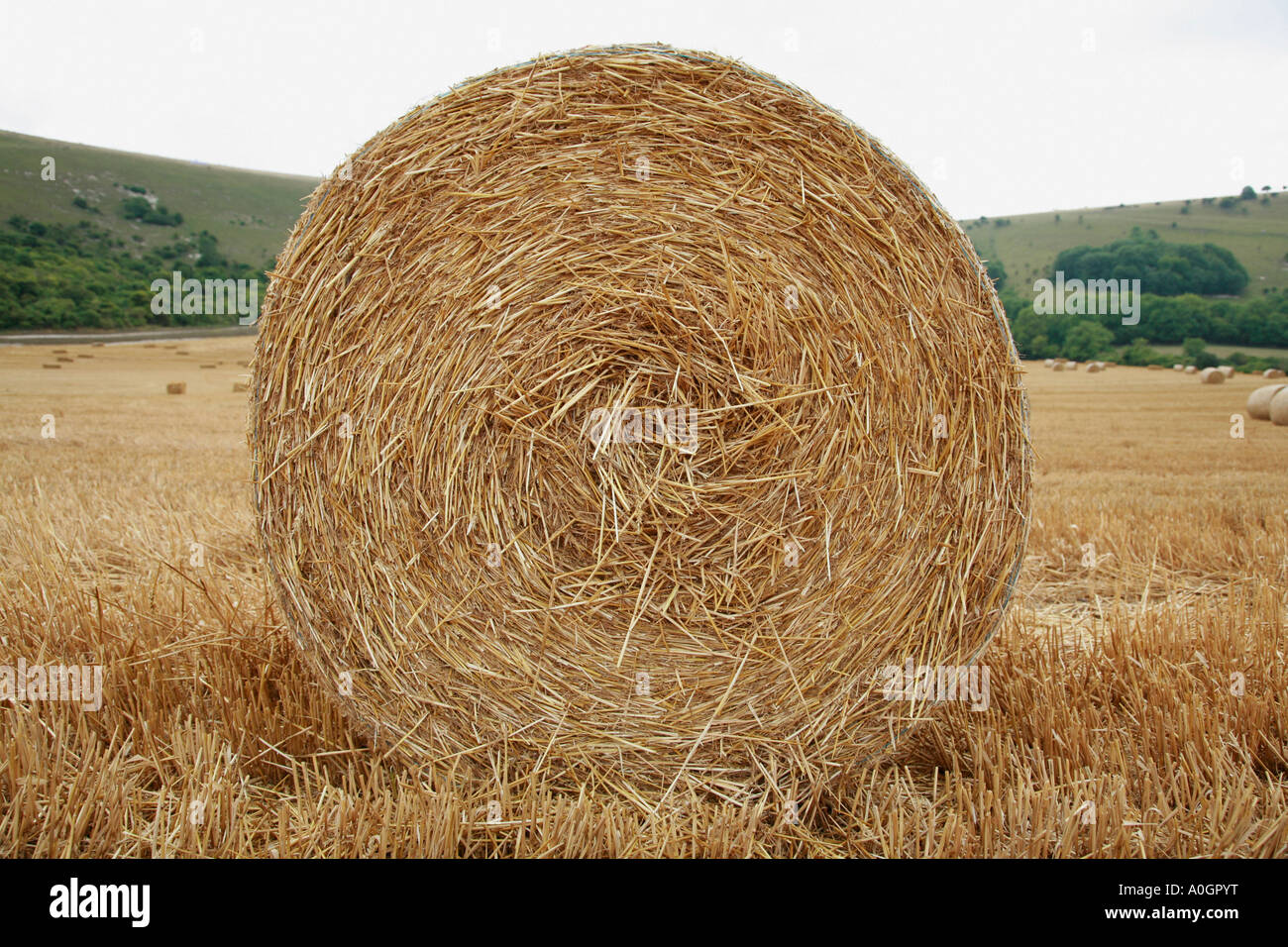 Bale type hi-res stock photography and images - Alamy