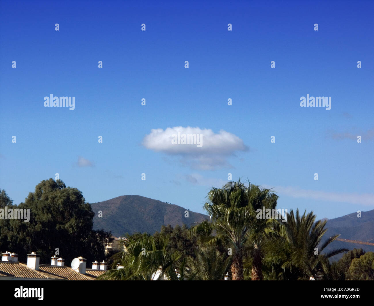 Palm Trees, Mountains, white cloud and Sky, generic, Sierra de Mijas ...