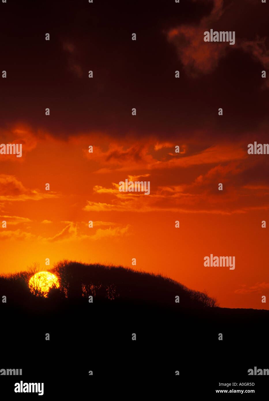 Sunset Behind Trees Stock Photo - Alamy