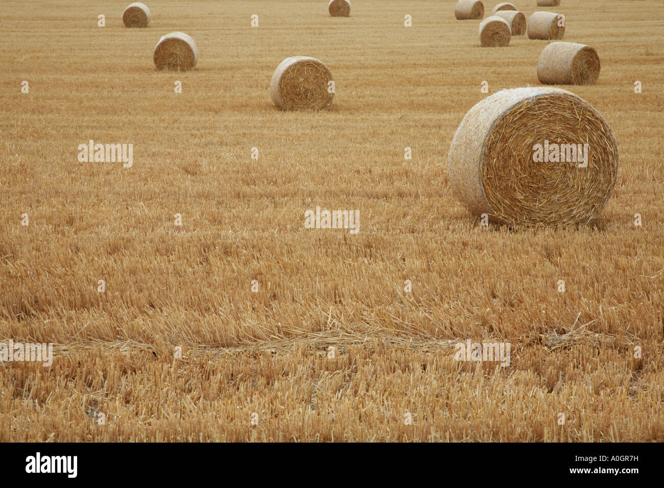 Bale type hi-res stock photography and images - Alamy