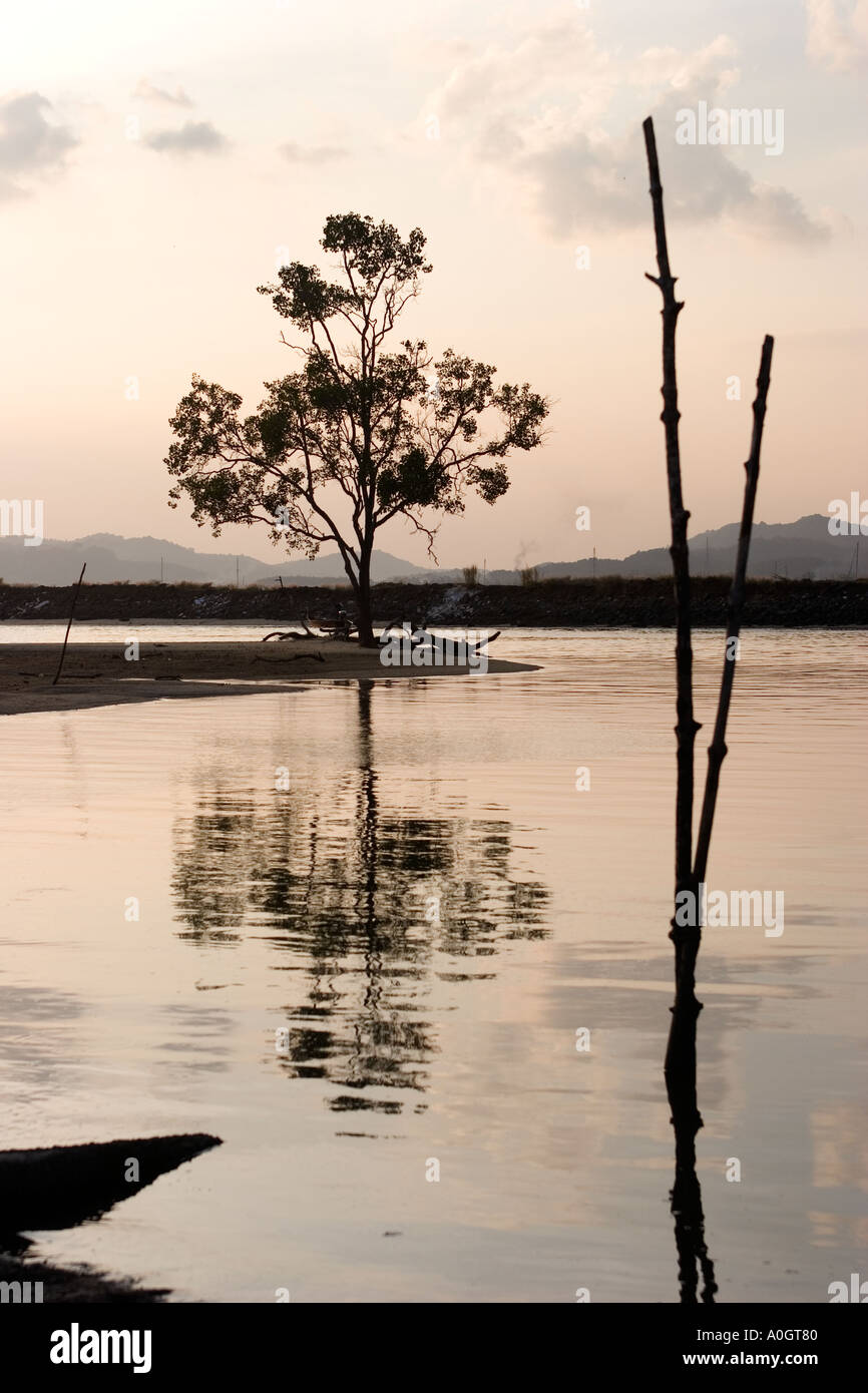 Tree Reflected in Water Pulau Langkawi Malaysia Stock Photo - Alamy